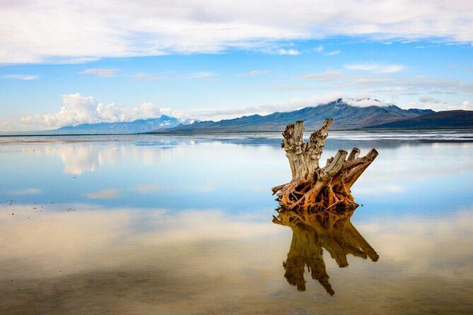 Great Salt Lake Flying Tour - What’s Included and Practical Details