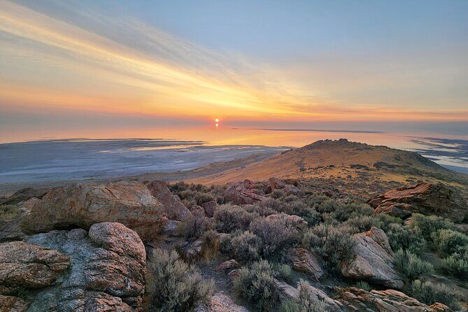 Great Salt Lake Wildlife Experience - An In-Depth Look at the Great Salt Lake Wildlife Experience