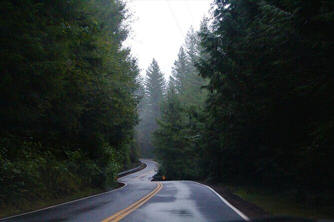 Great Smoky Mountains Self-Guided Scenic Drive and Audio Tour - Who Will Love This Experience?