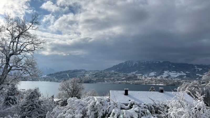 Great walk through Lucerne with places of interest - Who Should Choose This Tour?