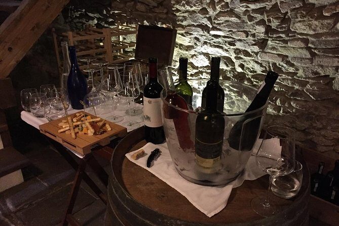 Great Wine Tour in Small Carpathian Hills - Who Will Love This Tour?