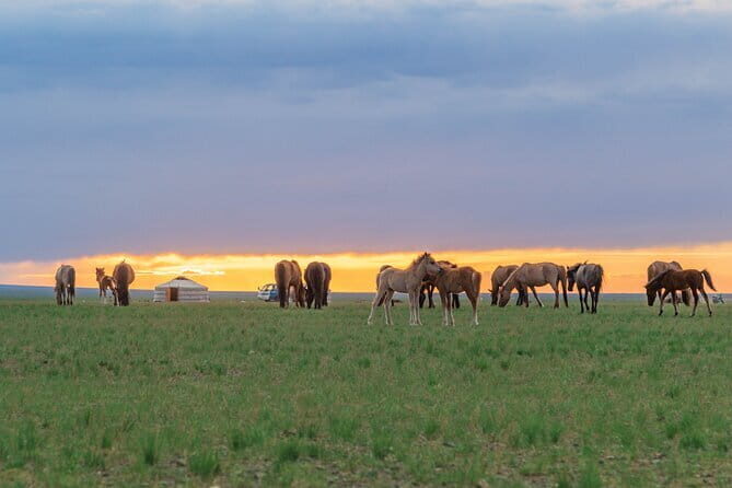Greate White Lake and Gobi desert - Discover Mongolia’s Wild Side: Greate White Lake and Gobi Desert Tour
