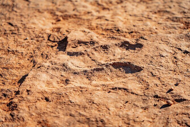 Greater Zion: Dinosaur Tracks in the Desert UTV Tour - Who Will Love This Tour?