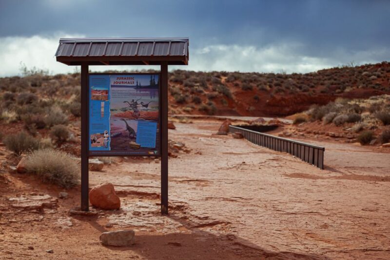 Greater Zion: UTV Tour to Toquerville Falls - What the Reviews Say
