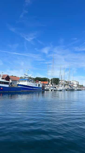 Grebbestad: boat tour private & individual - Authentic and Practical Experience