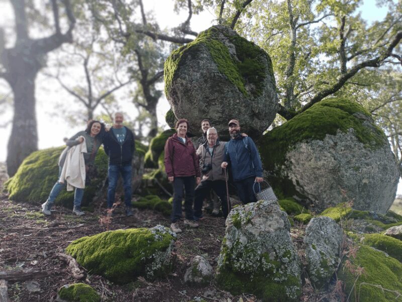 Gredos: Guided Hike in the Vettón Forest - A Walk Through the Heart of Extremadura’s Forests