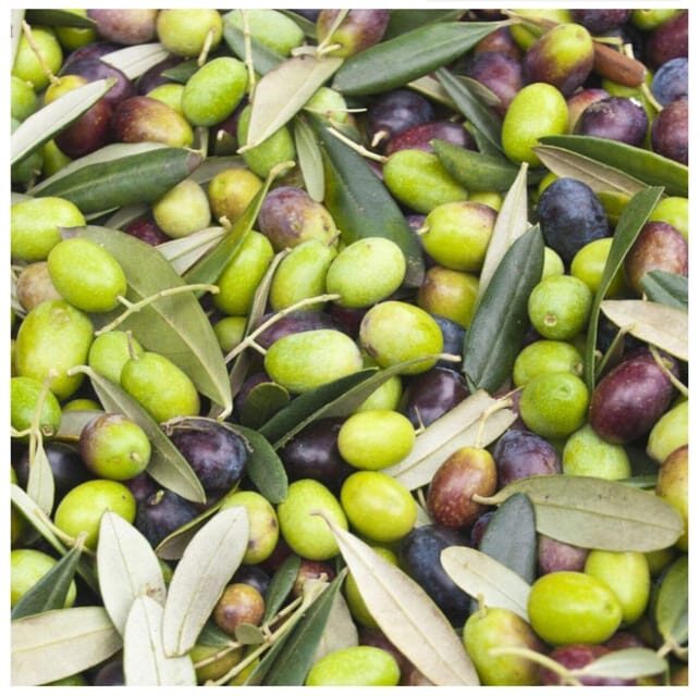 Greece: Private Olive Oil Tasting and Corinth Canal Tour - Breakdown of the Itinerary