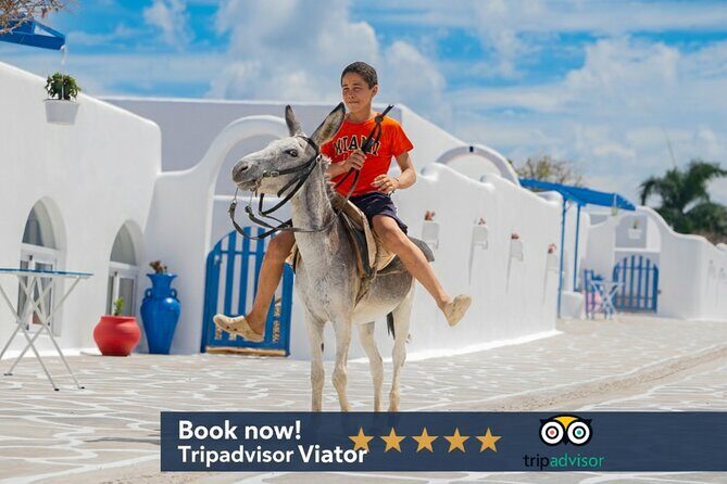 GreekLand The Santorini at Puerto Plata plus City Tour - Exploring the GreekLand Santorini Experience in Puerto Plata