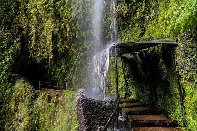Green Cauldron - A Closer Look at the Green Cauldron Tour