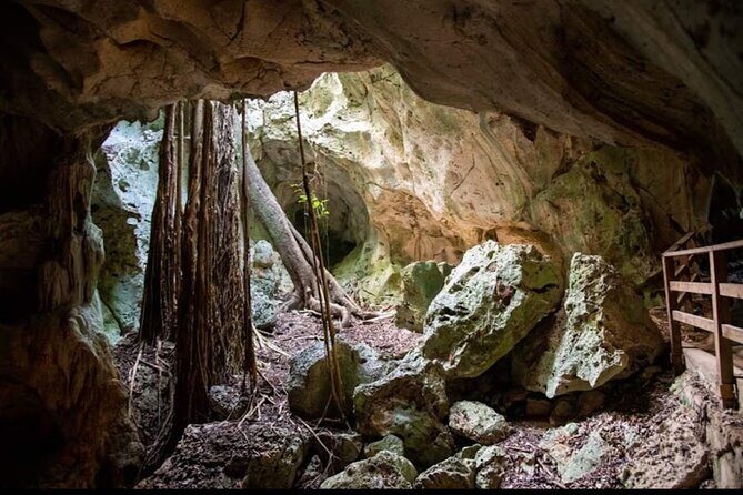 Green Grotto Cave and River tubing Adventure - Who Is This Tour Best For?