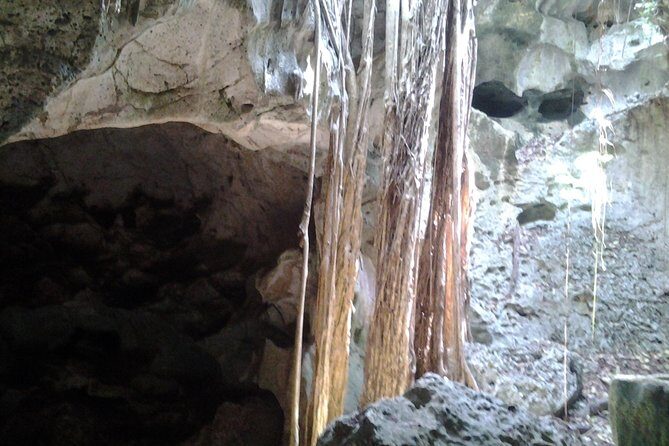 Green grotto cave tour - Pricing and Value: Is It Worth It?