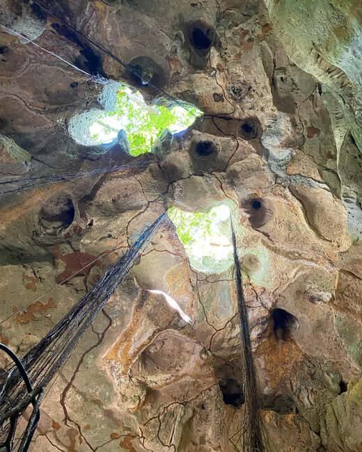 Green Grotto Caves Tour and Transportation - An In-Depth Look at the Green Grotto Caves Tour