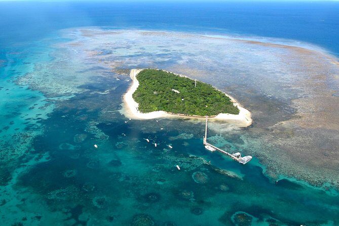 Green Island Day Trip from Cairns with Beaches Transfers - Introduction: A Classic Reef Escape with a Few Hiccups