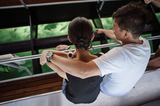 Green Island Day Trip from Cairns with Beaches Transfers - Getting There: Comfortable Transfers and Timing