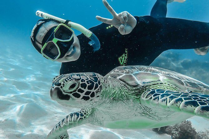 Green Island Day Trip from Cairns with Beaches Transfers - Authentic, Balanced Experience: What We Think