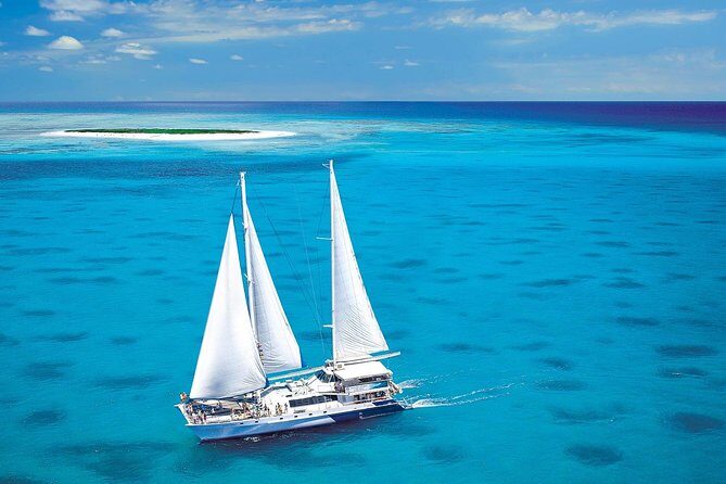 Green Island Day Trip from Cairns with Beaches Transfers - Final Thoughts