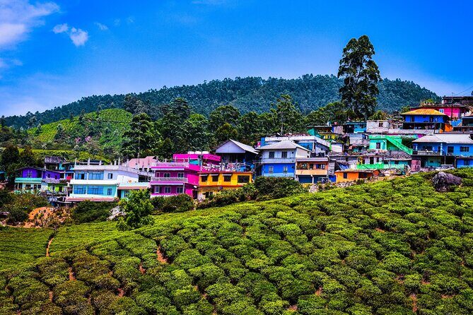 Green Magic Day Tour to Munnar - FAQ