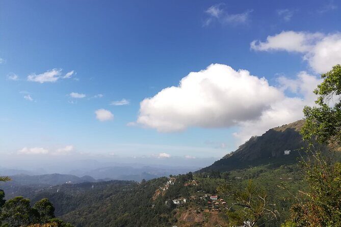 Green Magic One Night Two Days Trip to Munnar - FAQs