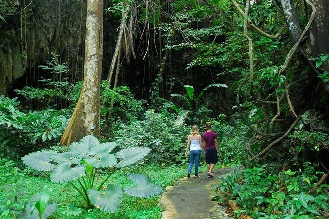 Green Monkey Time - Why This Tour Is Worth Considering