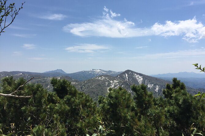 Green Season Half Day Hikes in Sapporo and Hokkaido with Onsen - FAQ