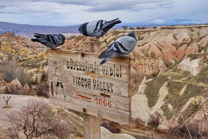 Green Tour Adventure in Cappadocia with Lunch - Who Should Consider This Tour?