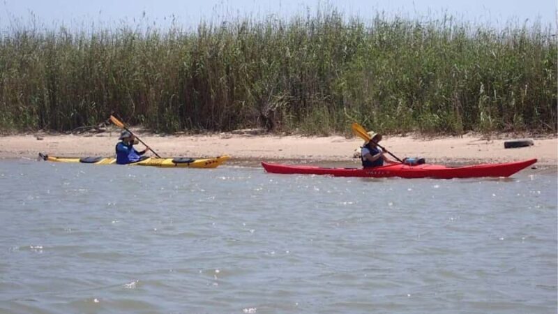 Greenland Paddle | Sea Kayaking Skills Development Course - The Sum Up