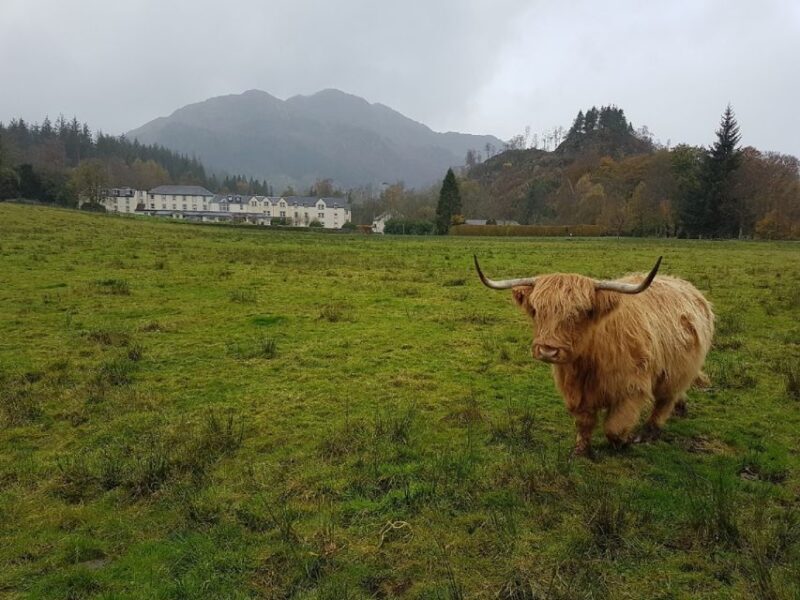 Greenock: Shore Excursion to Stirling Castle and Loch Lomond - An In-Depth Look at the Tour Experience