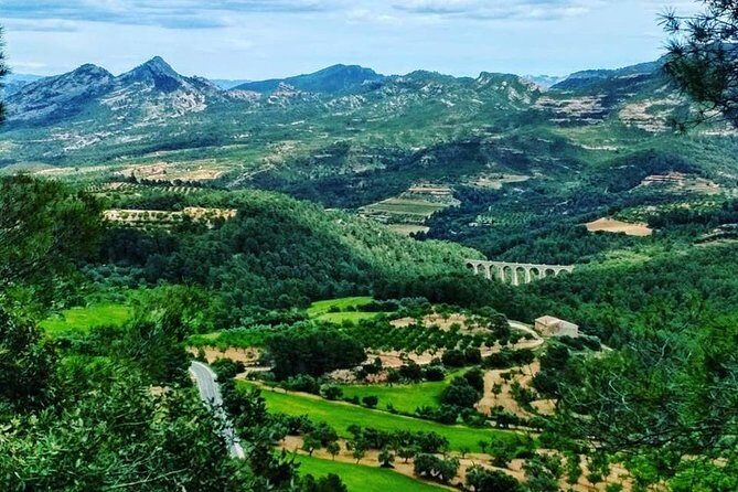 Greenway Section Cretas - Horta de Sant Joan 11km (90% descending 10% flat) - Final Thoughts