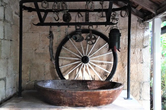 Greenwood Great House Tour from Montego Bay and Grand Palladium - Who Will Love This Experience?