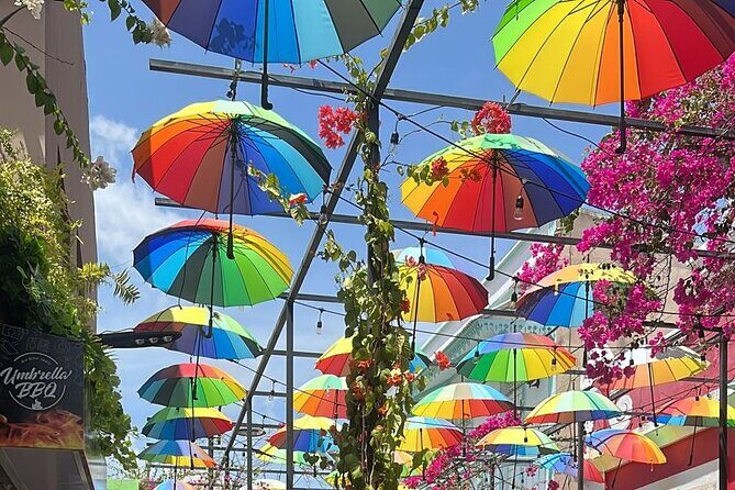 Gregorio Luperon Airport Puerto Plata to Cabarete Sosua - Who Will Love This Service