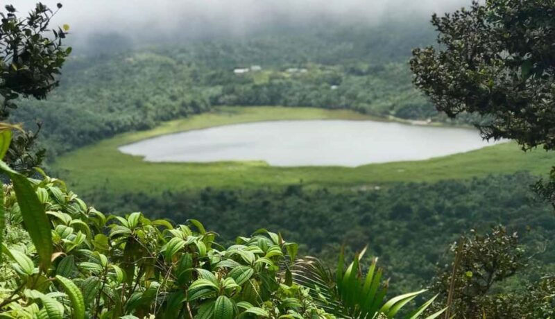 Grenada: Annandale Waterfall, Grand Etang, Grand Anse beach - A Closer Look at the Itinerary