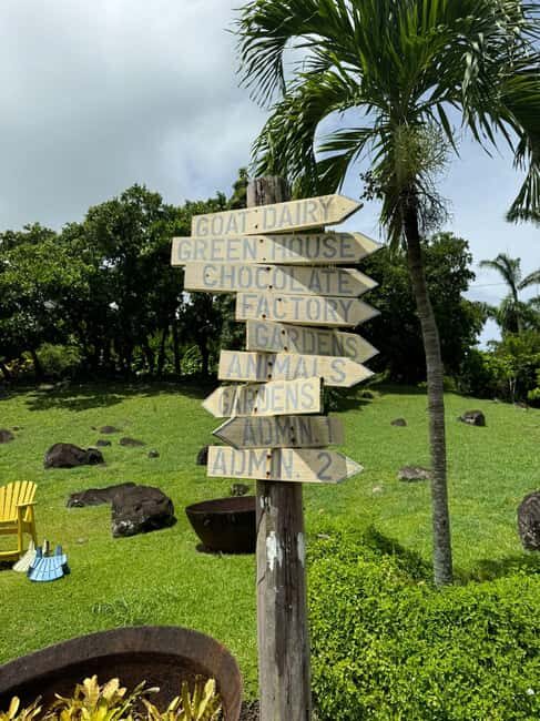 Grenada: Belmont Estate Tree to Bar Chocolate Workshop - A Closer Look at the Belmont Estate Chocolate Workshop