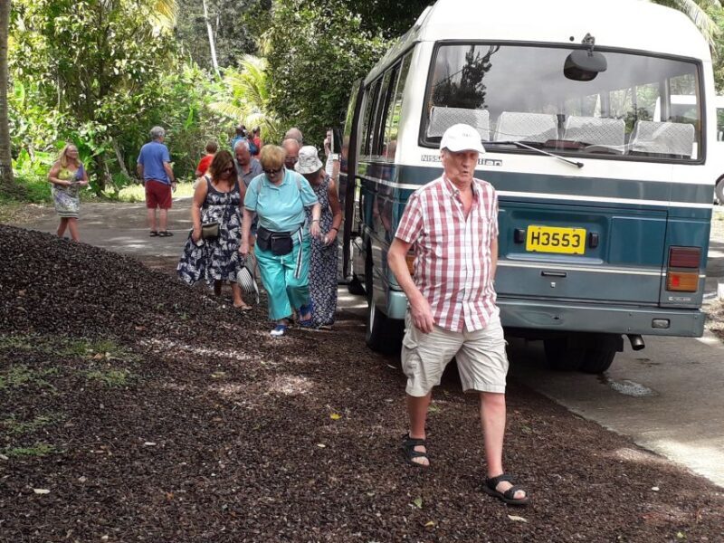 Grenada: Chocolate Tour & Lunch at Petite Anse - Scenic Drive to Petite Anse & the Lunch Break
