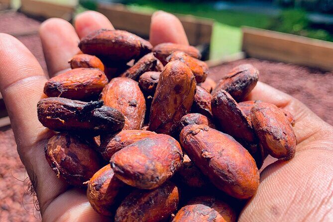 Grenada City Tour, Spice Market, Chocolate, Fort Frederick - What Makes This Tour Special?