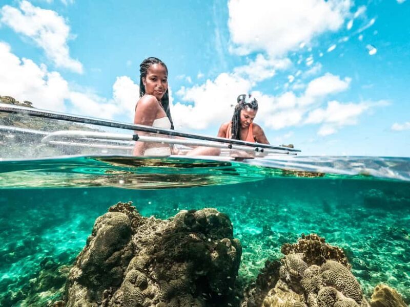 Grenada: Clear Kayak Tour with Drone Photoshoot - Discovering Grenada’s Underwater and Coastal Beauty