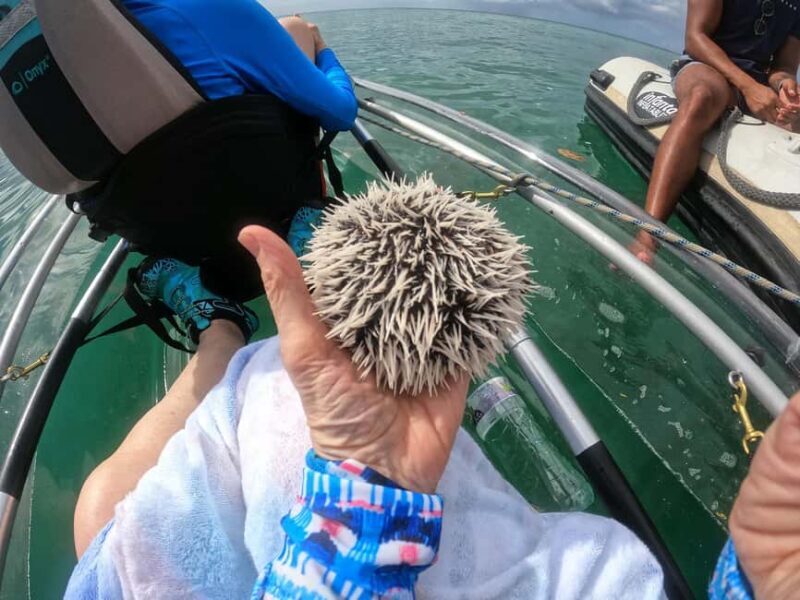 Grenada: Clear Kayak Tour with Drone Photoshoot - FAQ