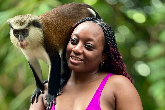 Grenada Day Tour-Concord Falls, Chocolate, Rum & Grand Etang Lake - What to Expect from the Grenada Day Tour