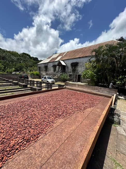 Grenada Half Day Tour: Fort, Spice, Falls, Chocolate & Lunch - Practical Considerations