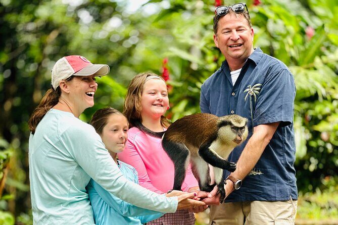 Grenada Highlights: City Tour, Fort, Chocolate, Rainforest- Falls - What to Expect on the Grenada Highlights Tour