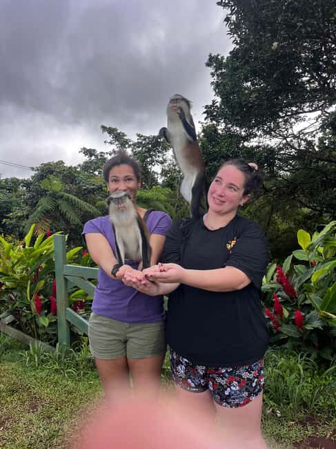 Grenada: Island Vibes in the Spice-Isle - Practical Details and Tips