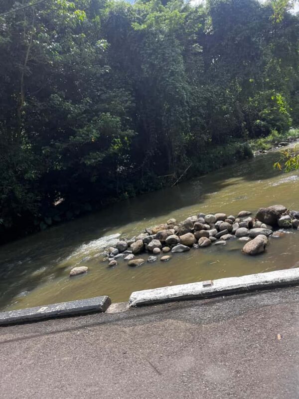 Grenada: River Tubing Adventures - What to Expect on Your River Tubing Adventure