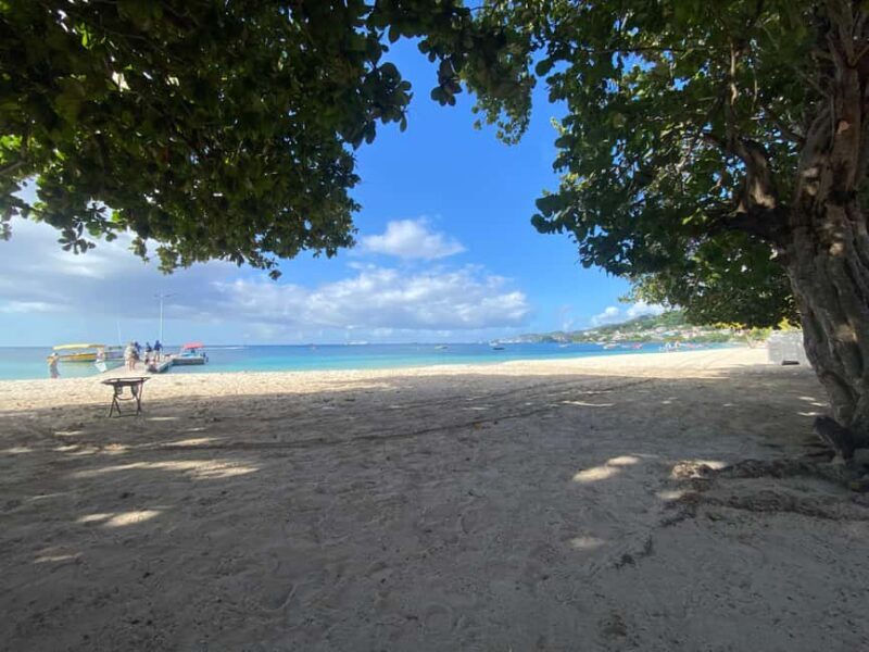 Grenada: Spice and Herb Garden Tour with Beach Visit - The Itinerary: A Closer Look