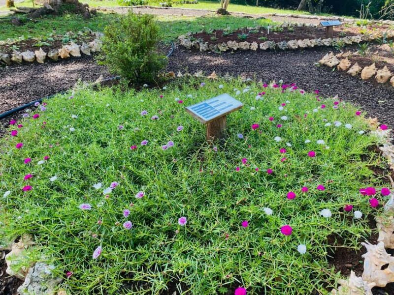 Grenada: Spice and Herb Garden Tour with Beach Visit - FAQ