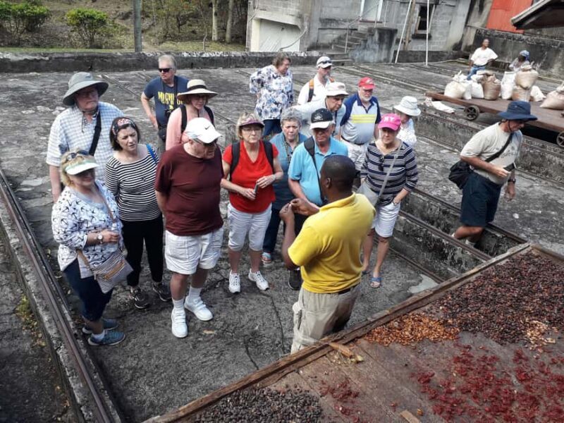 Grenada: Spice Island Expedition. - Why This Tour Is Worth Your Time