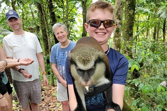 Grenada tropical escape Customizable Island Tour, nature explore - The Sum Up