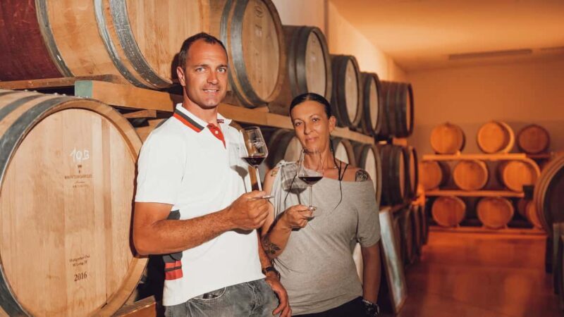 Greve in Chianti: Tour and tasting of organic Chianti Classico and Tuscan snacks - The Itinerary: What You Can Expect
