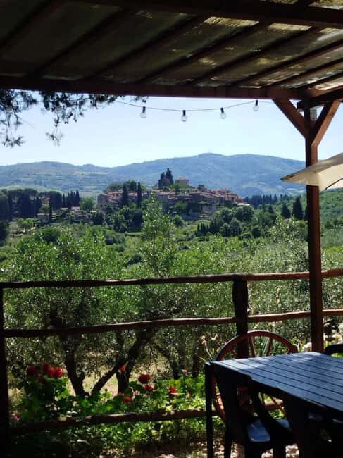 Greve in Chianti: Wine tasting and visit to our small winery - The Itinerary: What to Expect on Your Visit
