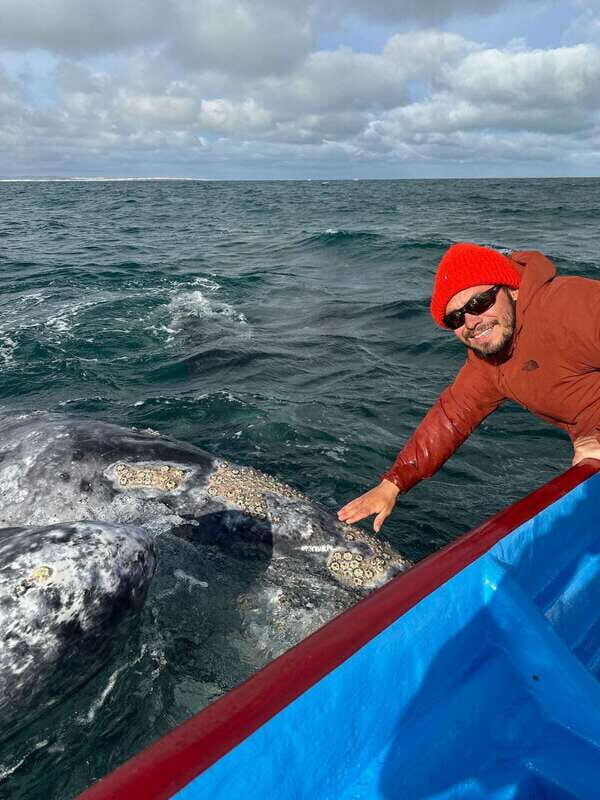 Grey Whale Watching at Mag Bay From Loreto - The Van Journey: Two Hours to San Carlos