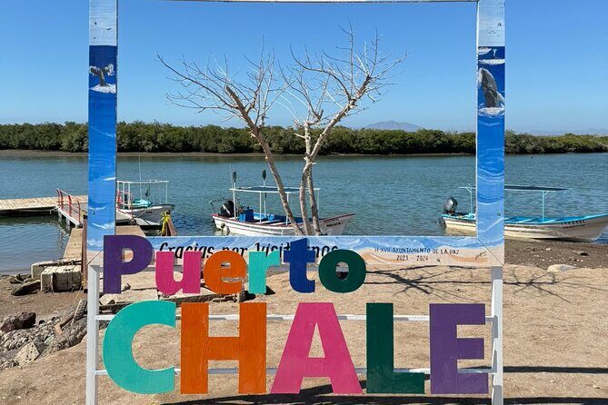 Grey Whale Watching with Expert Local Guides - Final Thoughts: Is It Worth It?