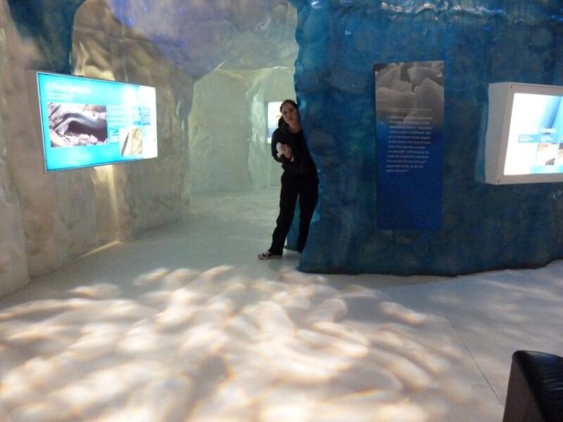 Greymouth: Glacier, Heritage & Wildlife Centre Guided Tour - An In-Depth Look at the Itinerary